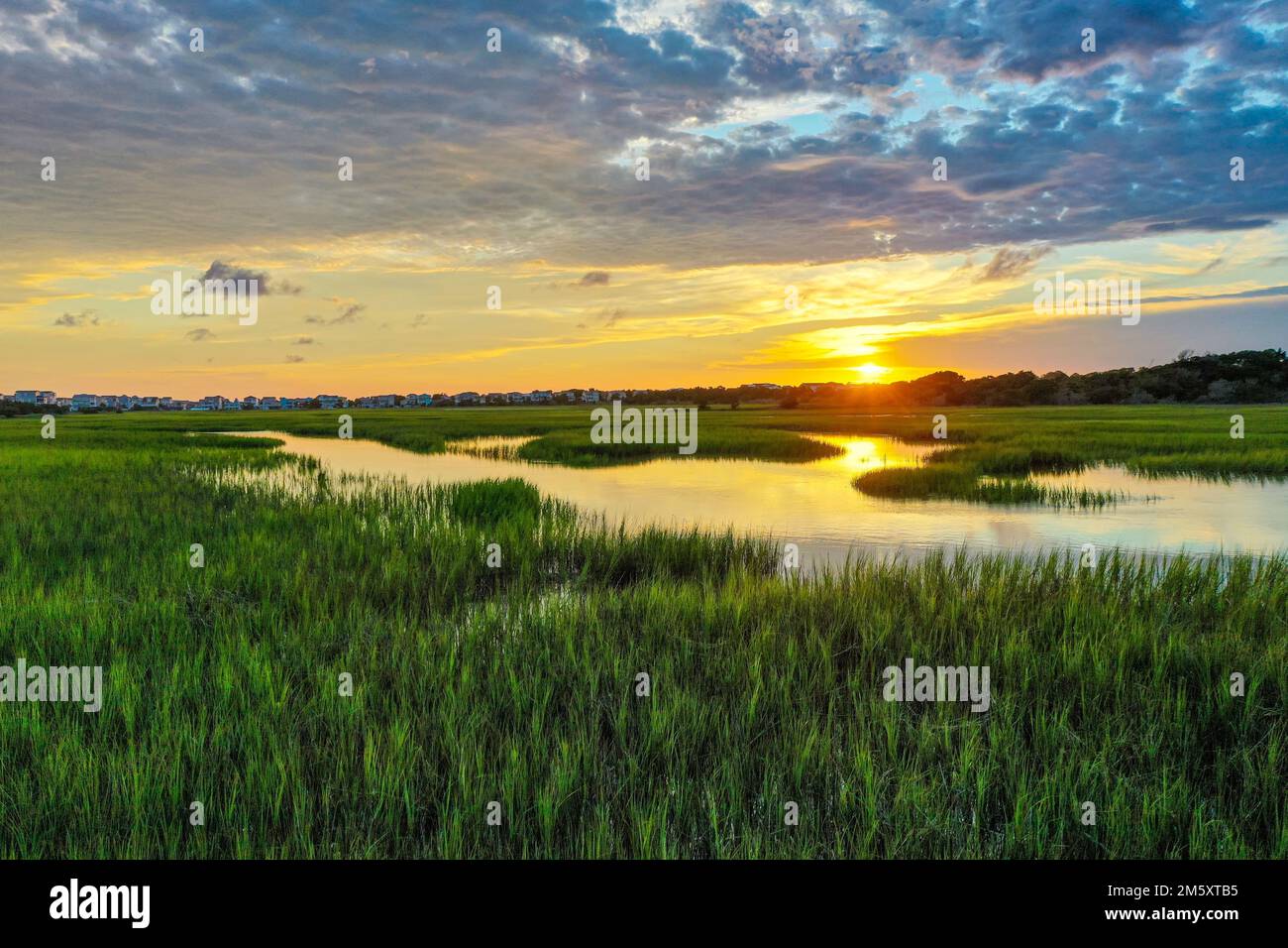 Landscape golden isles georgia hi-res stock photography and images - Alamy