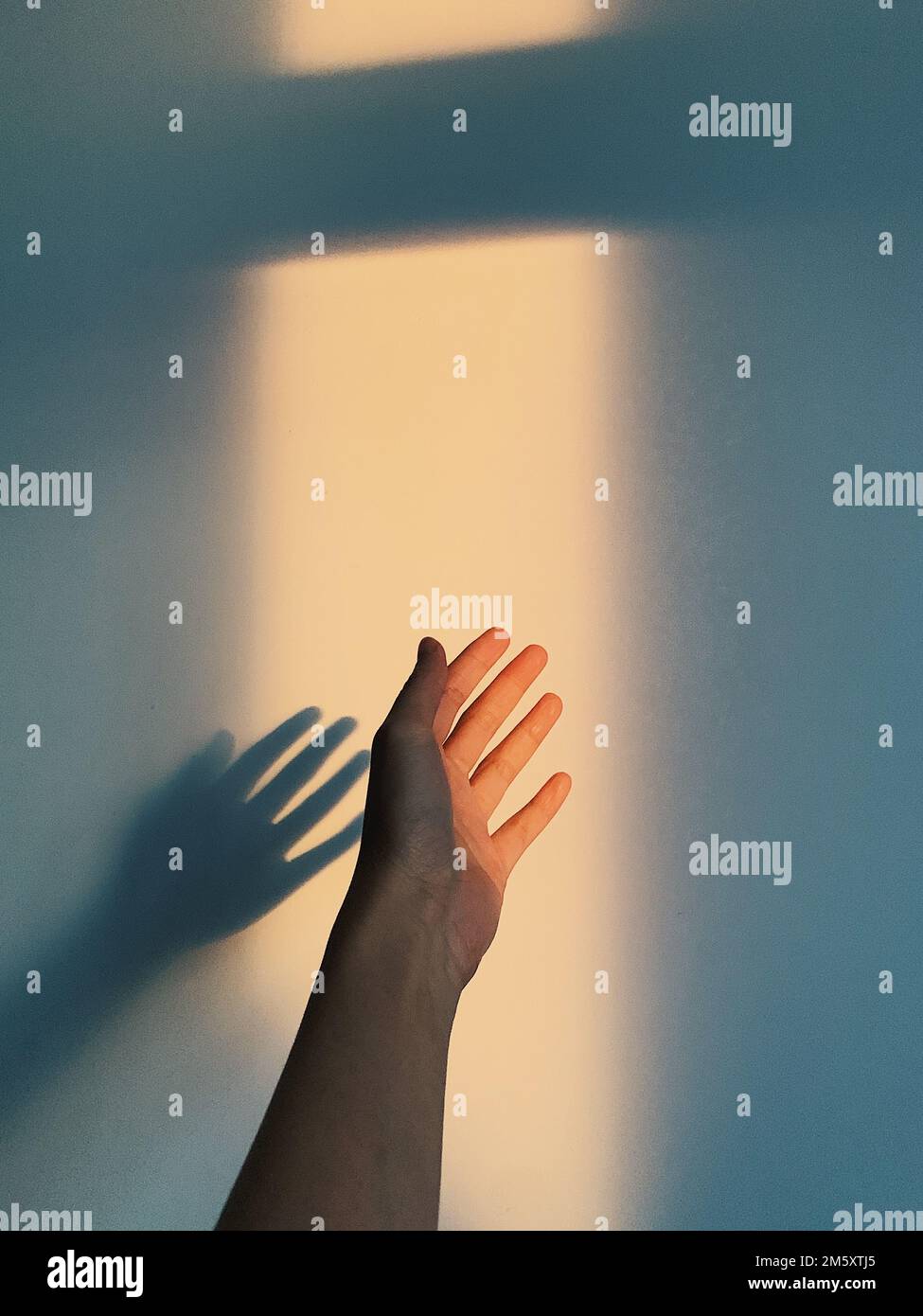 A hand Shadow aesthetic background Stock Photo - Alamy
