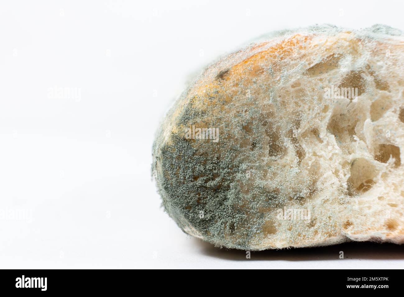Mold on bread on a white background close-up. The danger of mold, stale ...