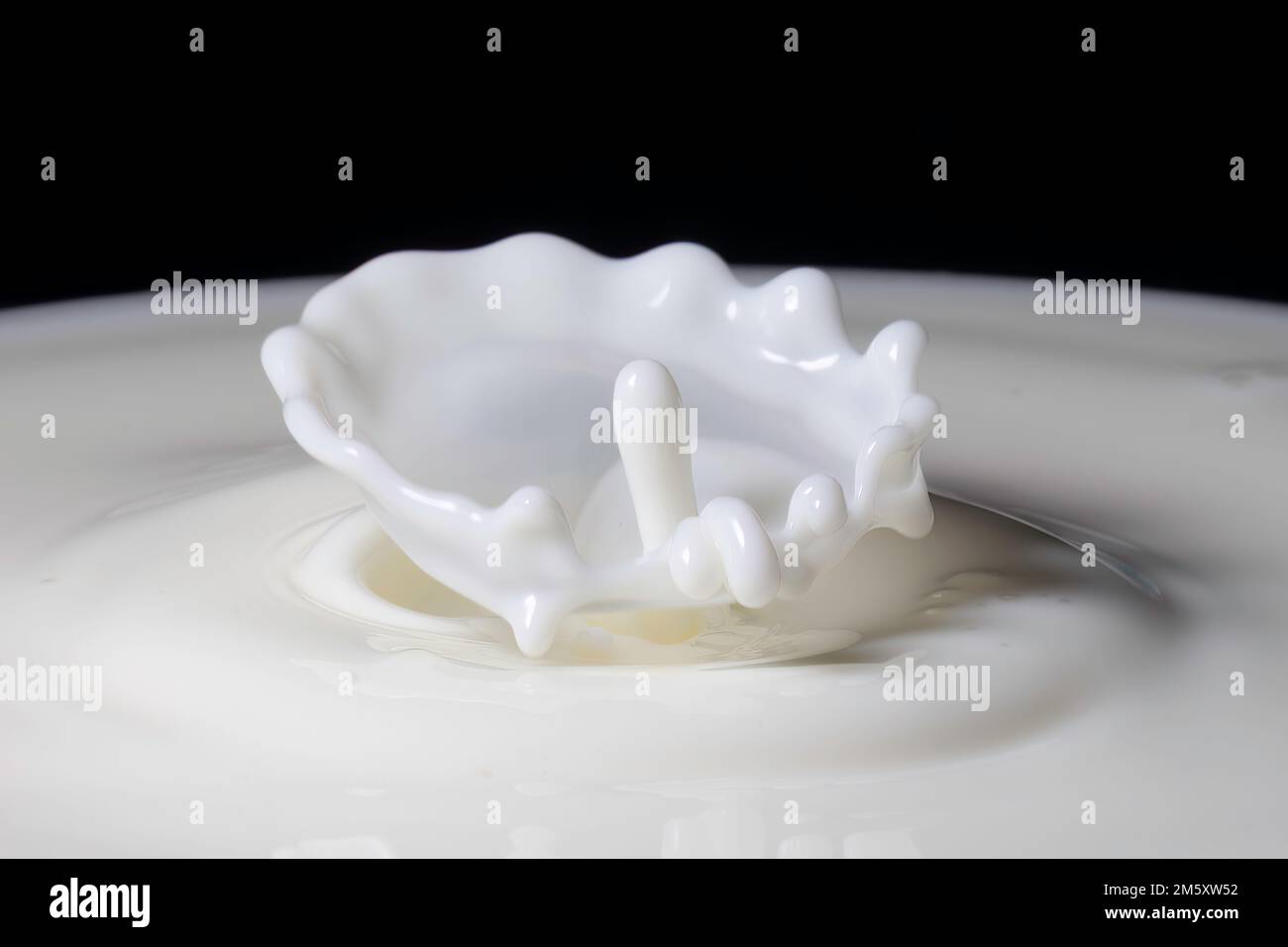 Milk drop splash with shallow depth of field black background Stock ...