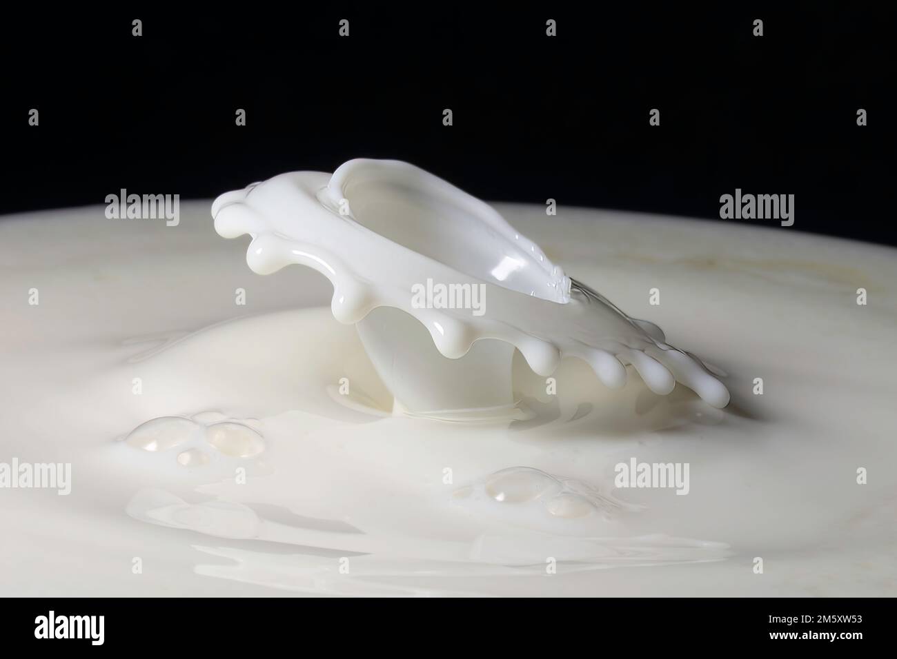 Milk drop splash with shallow depth of field black background Stock ...