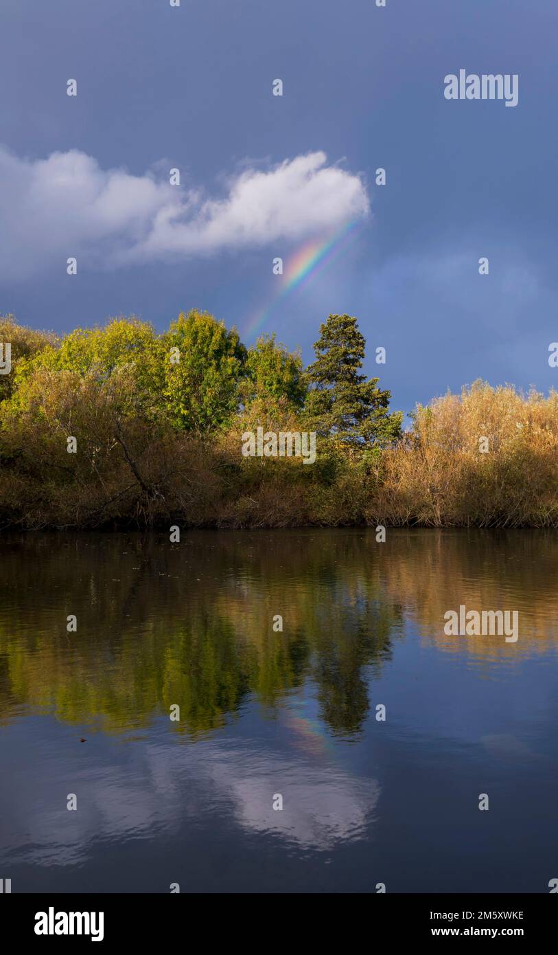 Europe, UK, England, Reading, Thames valley at reading Stock Photo - Alamy