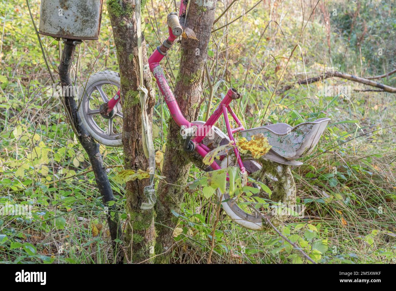 Abandoned car exhaust and old children's bike fly-tipped and hanging in ...
