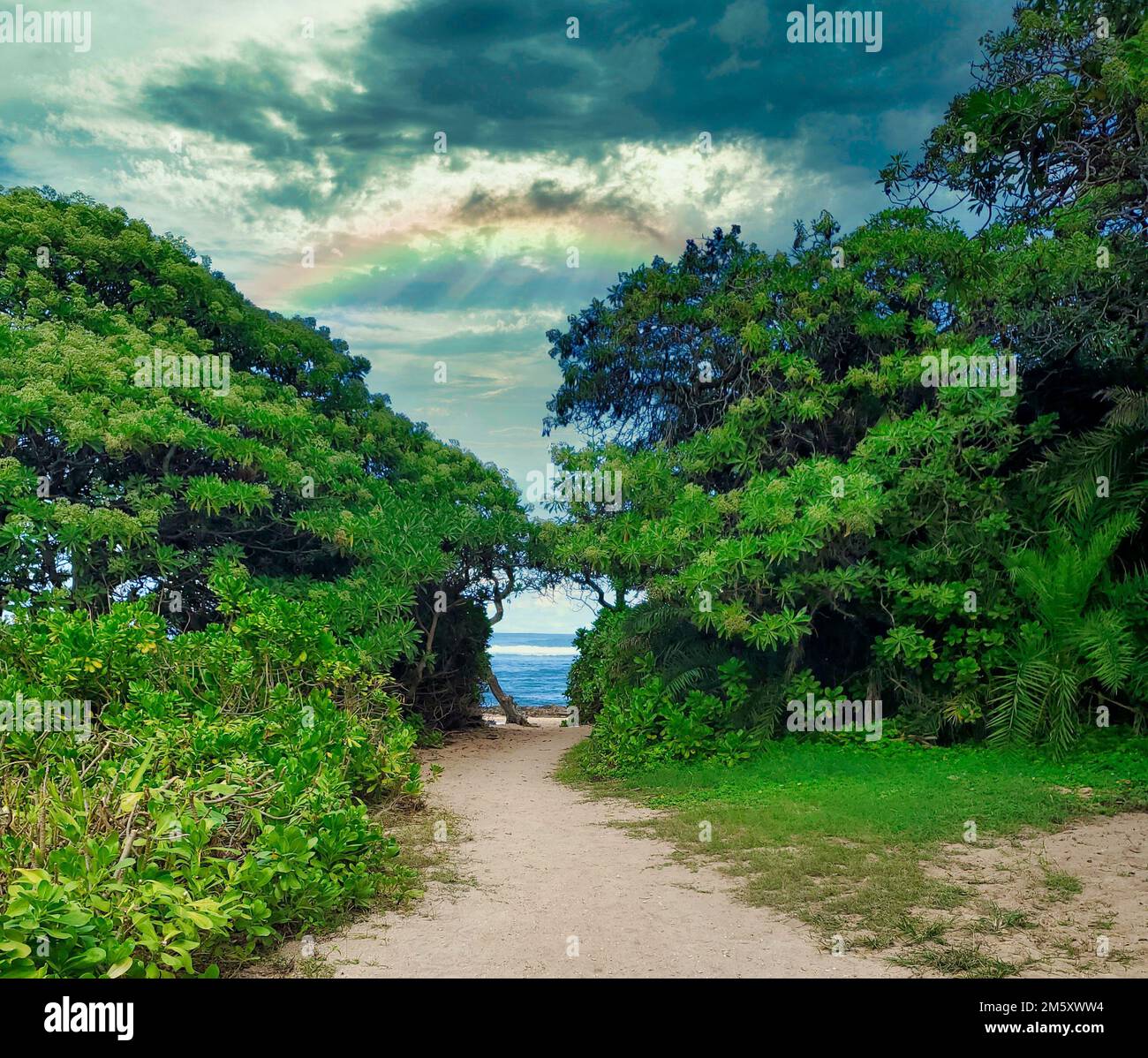 The rainbow in the cloudy sky over a scenic beach path surrounded by ...