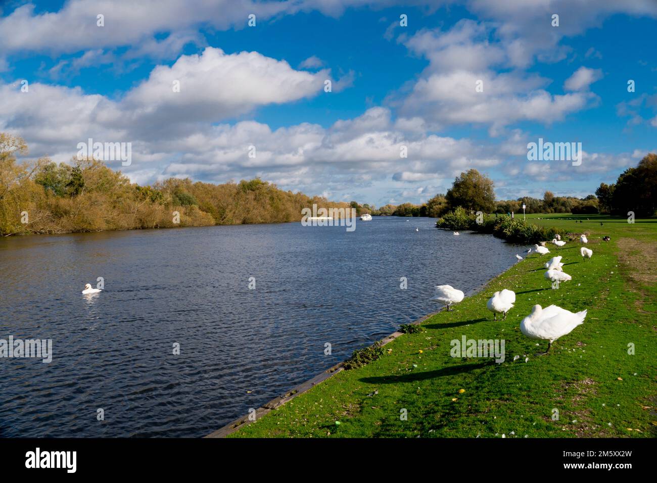 Reading berkshire thames valley park hi-res stock photography and ...