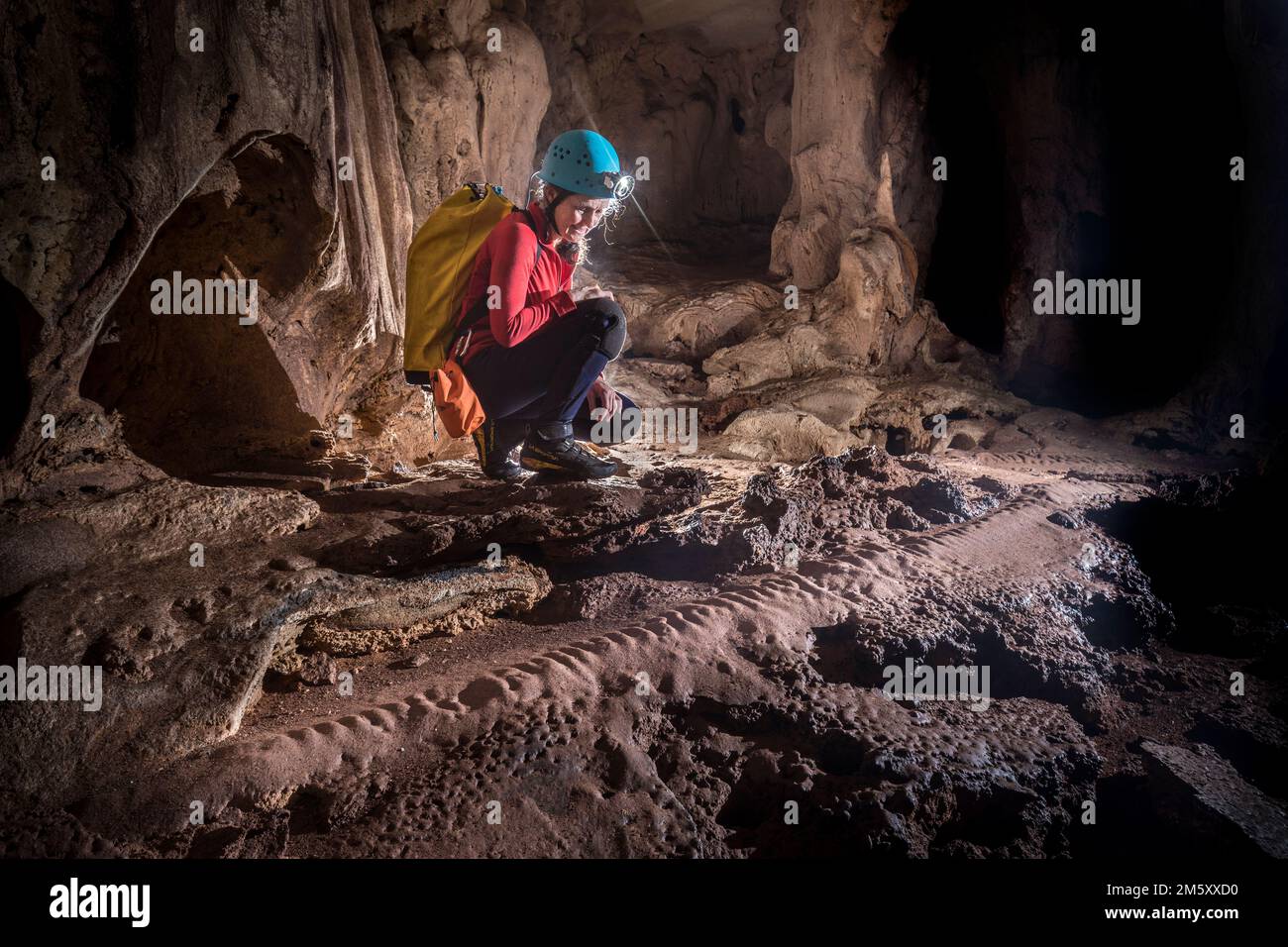 Snake tracks in Fruit Bat Cave, Mulu, Sarawak, Malaysia Stock Photo - Alamy