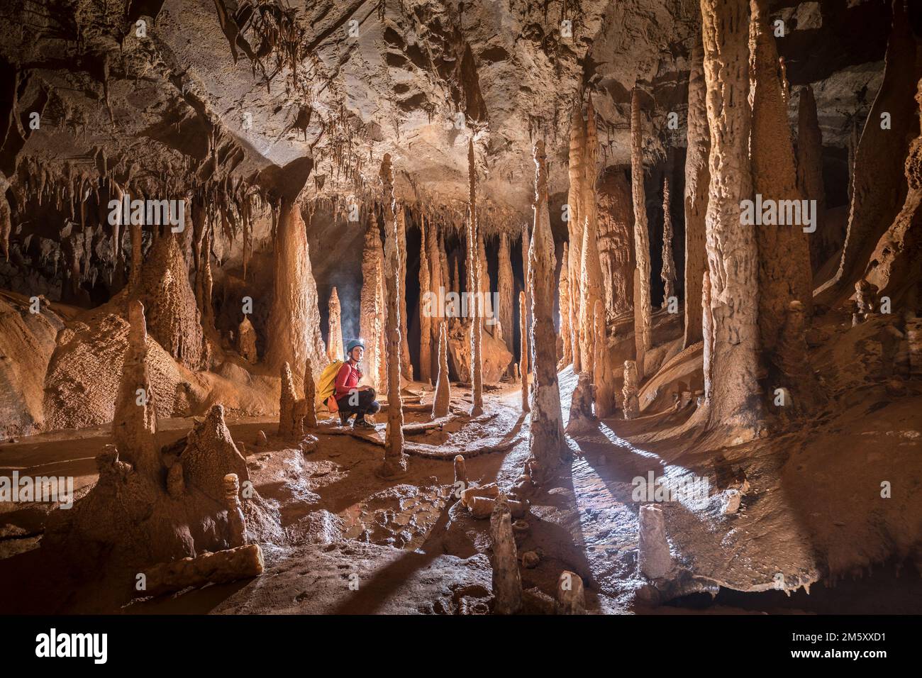 Drunken Forest Cave, Mulu, Malaysia Stock Photo - Alamy