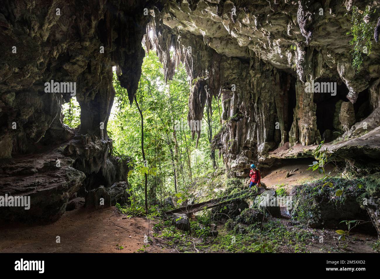 Old dug out canoe hi-res stock photography and images - Alamy