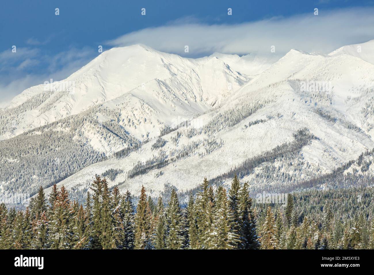 peaks of the swan range in winter near condon, montana Stock Photo - Alamy