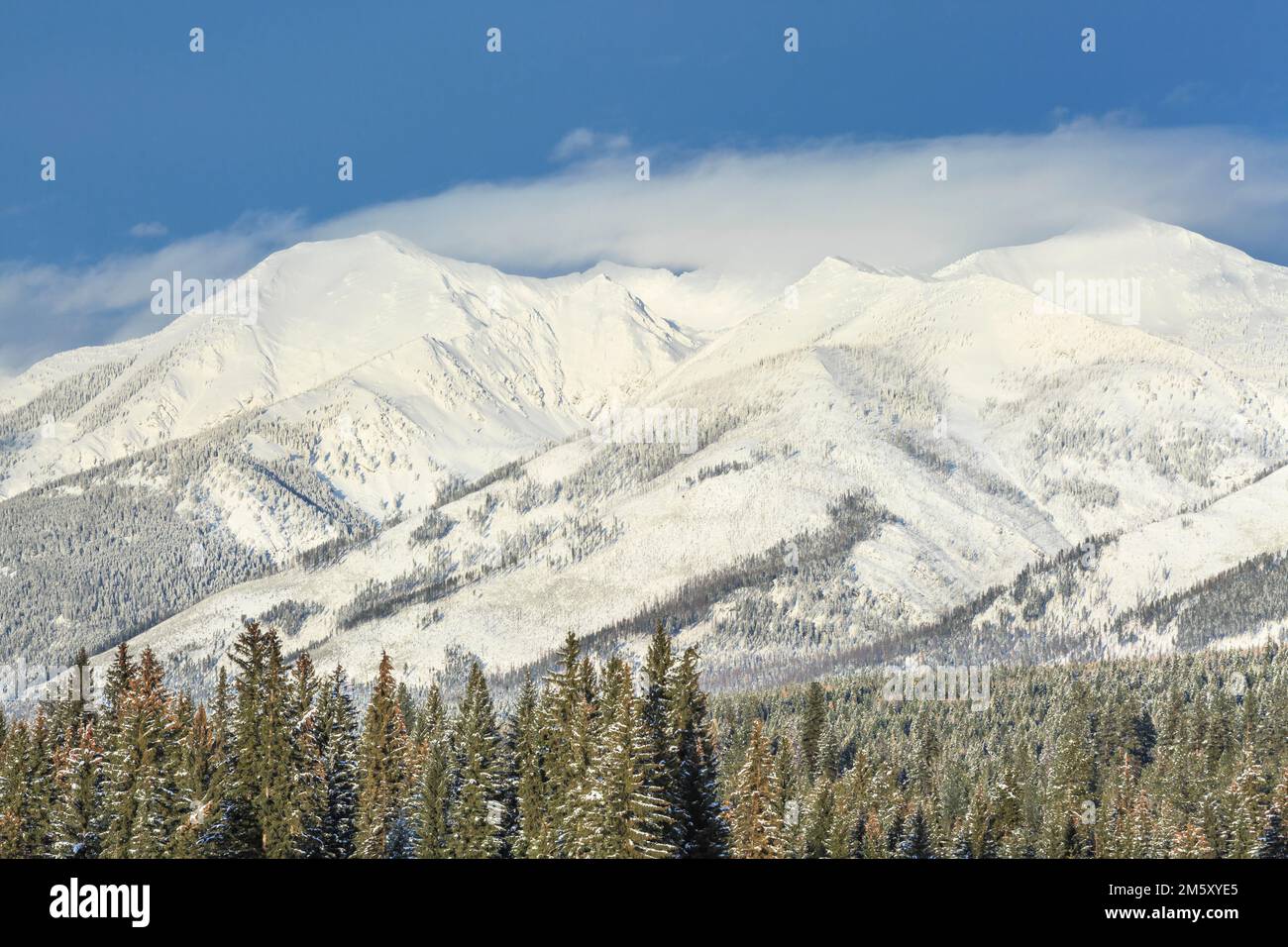 peaks of the swan range in winter near condon, montana Stock Photo - Alamy