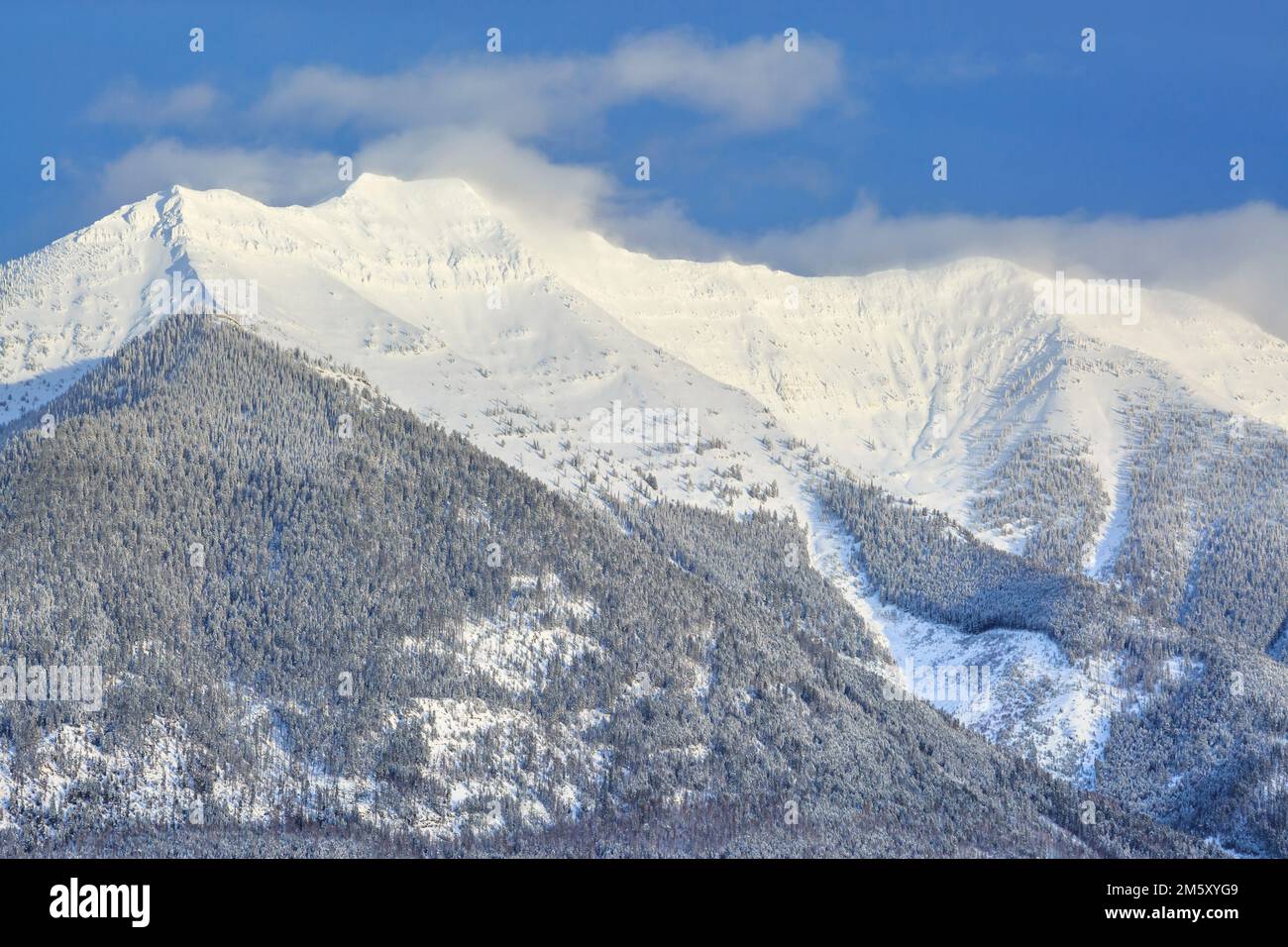 wolverine peak of the swan range in winter near condon, montana Stock ...