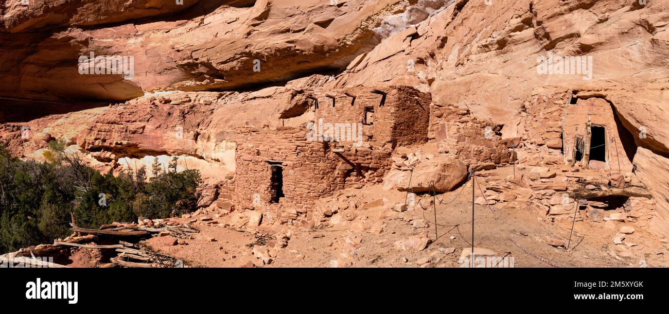 Split Level Ruin. Backpacking in Grand Gulch and viewing Anasazi dwellings and rock art. Near ...