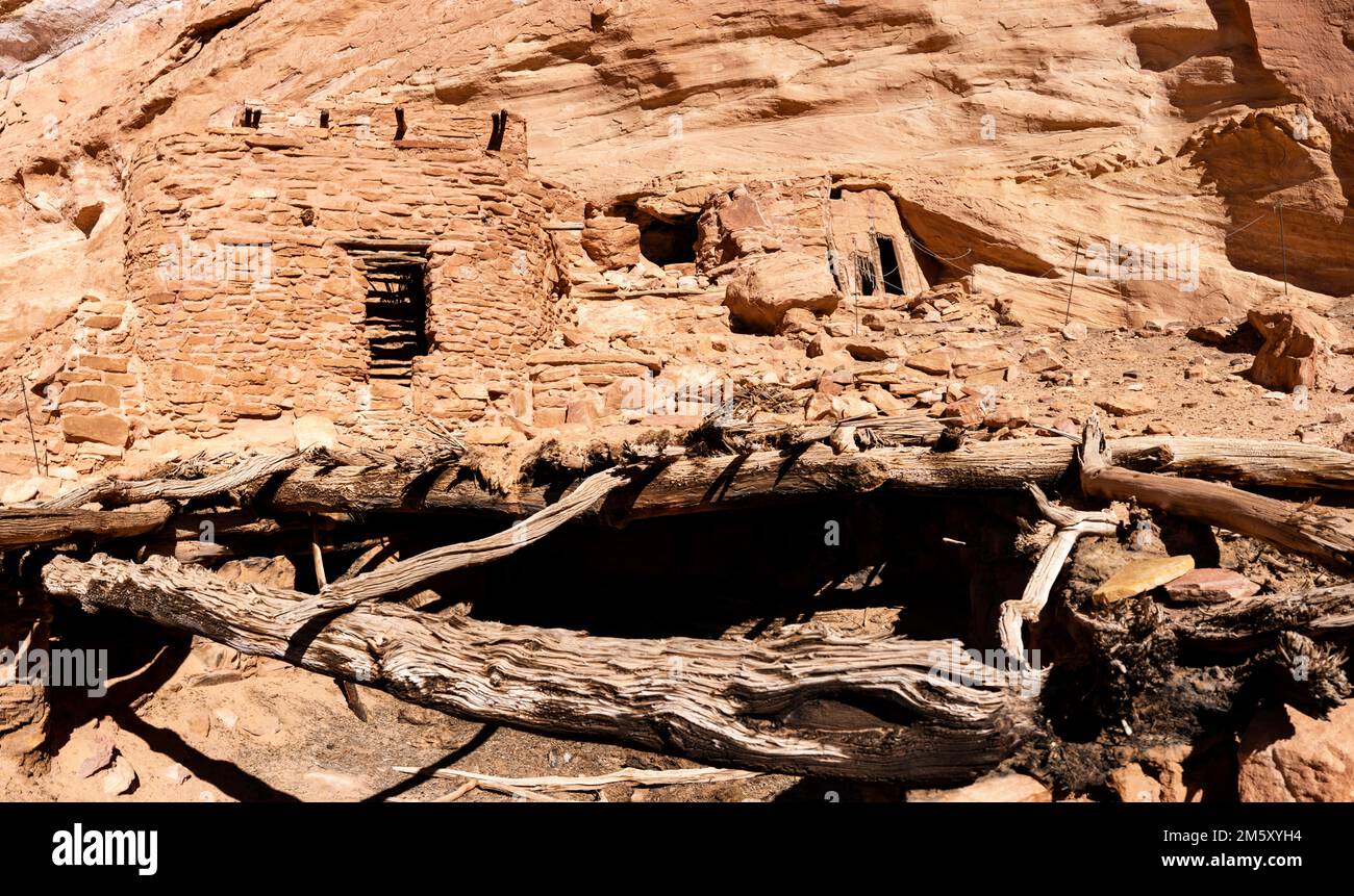 Split Level Ruin. Backpacking in Grand Gulch and viewing Anasazi dwellings and rock art. Near ...