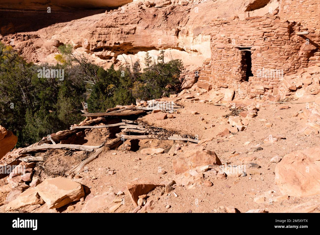 Split Level Ruin. Backpacking in Grand Gulch and viewing Anasazi ...