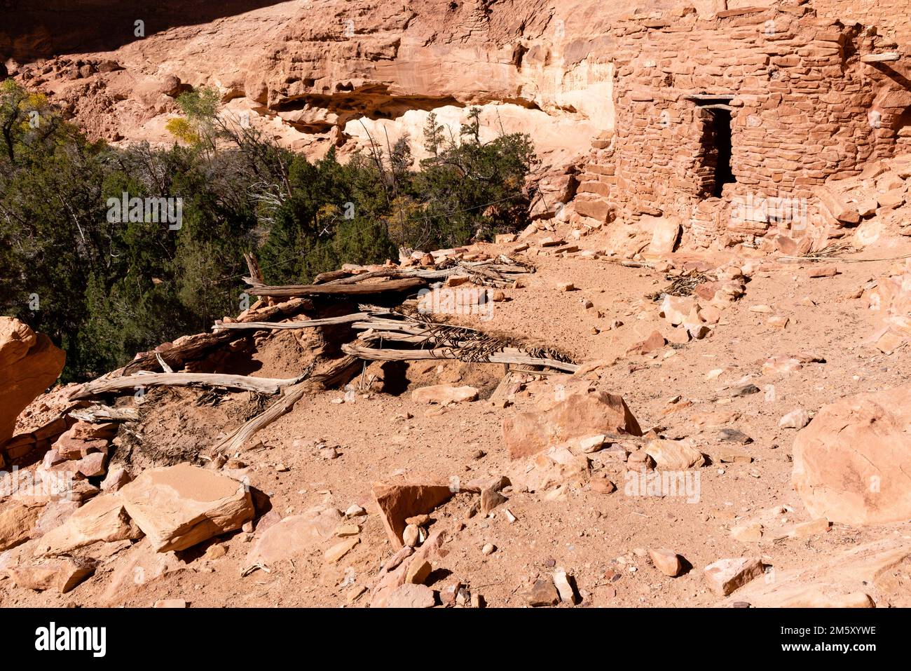 Split Level Ruin. Backpacking in Grand Gulch and viewing Anasazi dwellings and rock art. Near ...