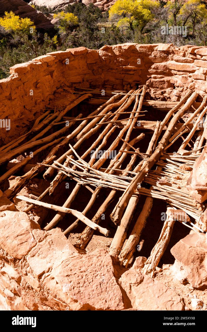 Split Level Ruin. Backpacking in Grand Gulch and viewing Anasazi dwellings and rock art. Near ...