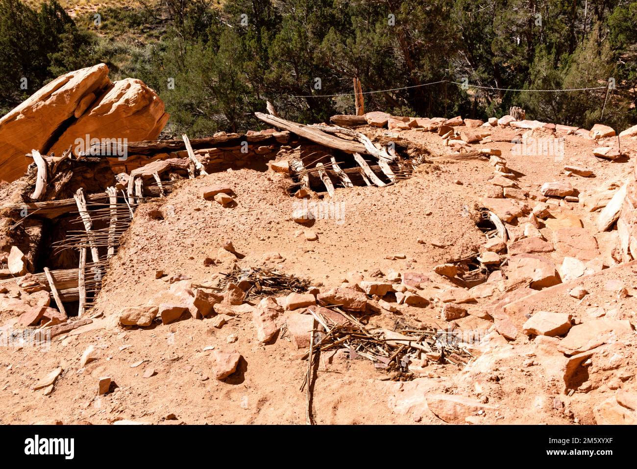 Split Level Ruin. Backpacking in Grand Gulch and viewing Anasazi dwellings and rock art. Near ...