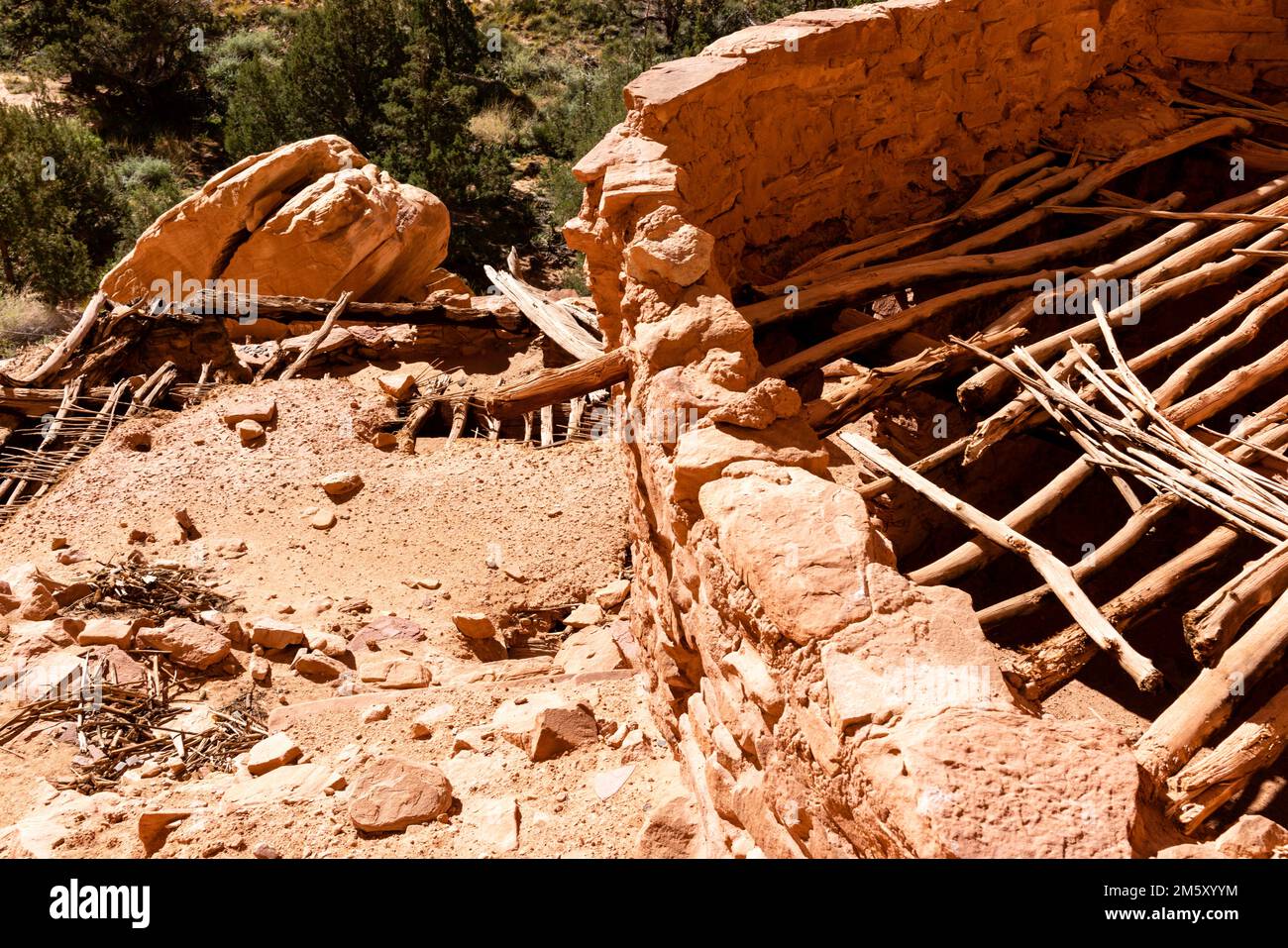 Split Level Ruin. Backpacking in Grand Gulch and viewing Anasazi dwellings and rock art. Near ...