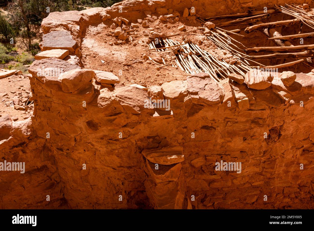 Split Level Ruin. Backpacking in Grand Gulch and viewing Anasazi dwellings and rock art. Near ...