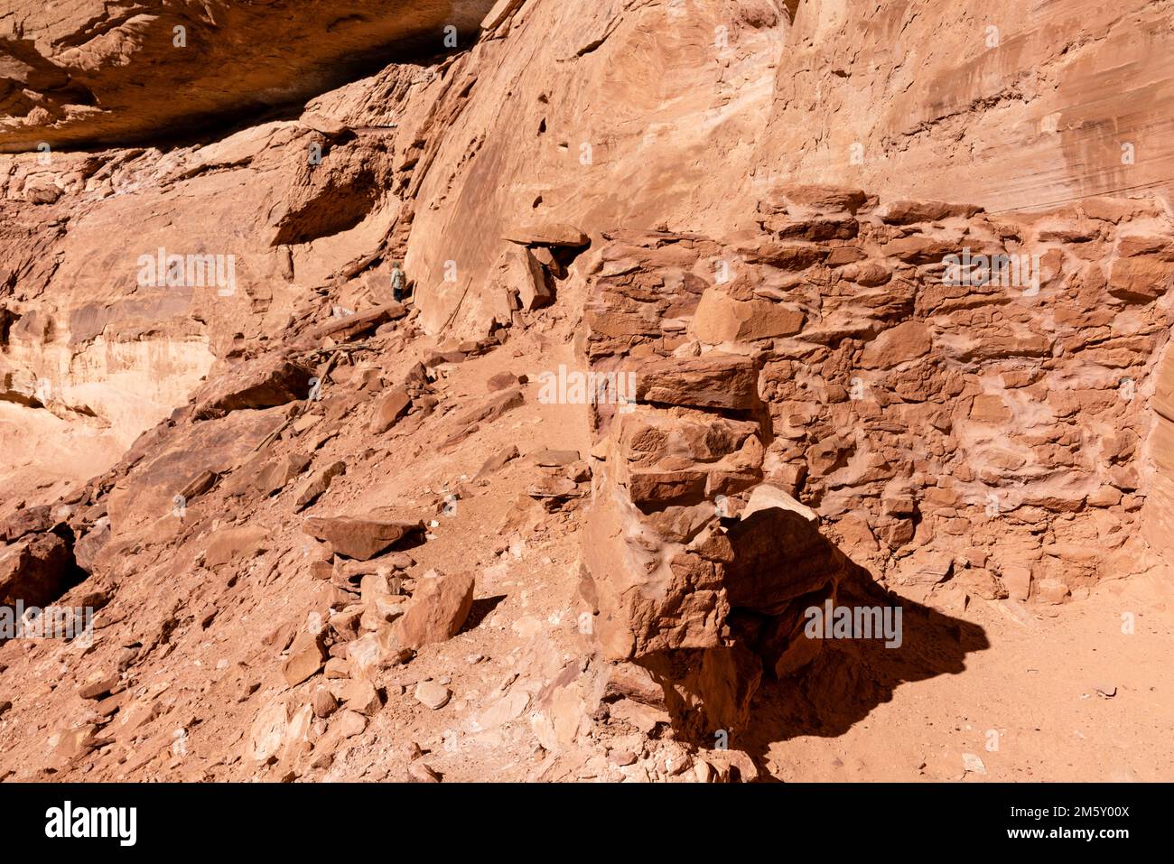 Split Level Ruin. Backpacking in Grand Gulch and viewing Anasazi dwellings and rock art. Near ...