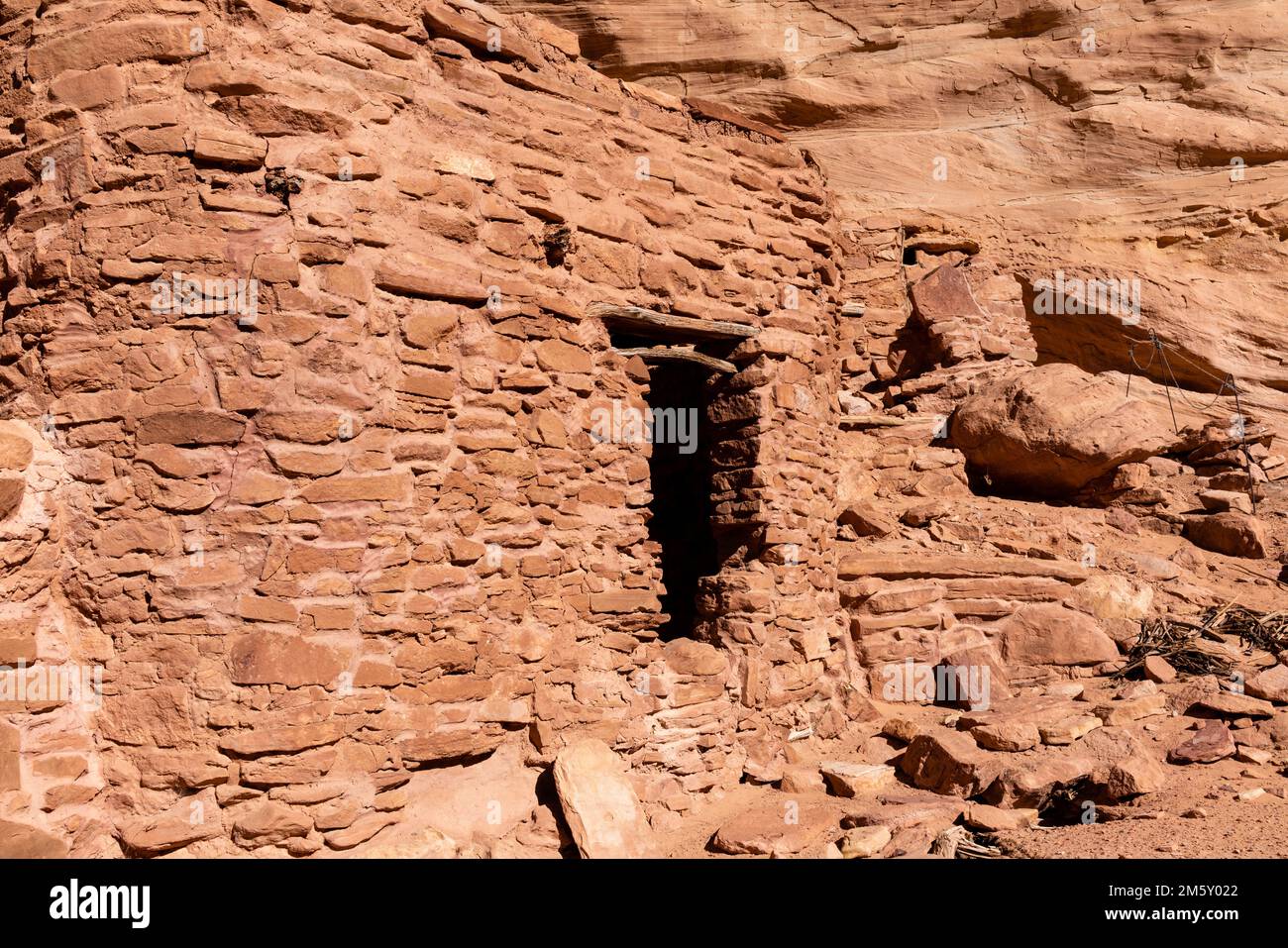 Split Level Ruin. Backpacking in Grand Gulch and viewing Anasazi dwellings and rock art. Near ...