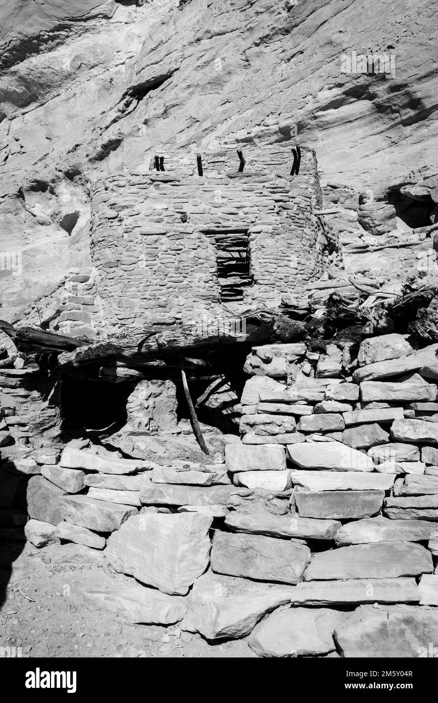 Split Level Ruin. Backpacking in Grand Gulch and viewing Anasazi dwellings and rock art. Near ...