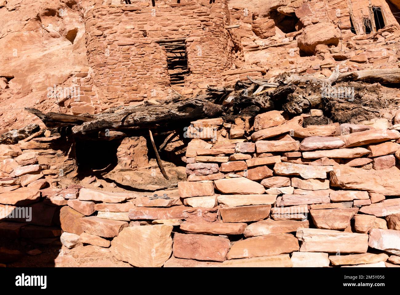 Split Level Ruin. Backpacking in Grand Gulch and viewing Anasazi dwellings and rock art. Near ...