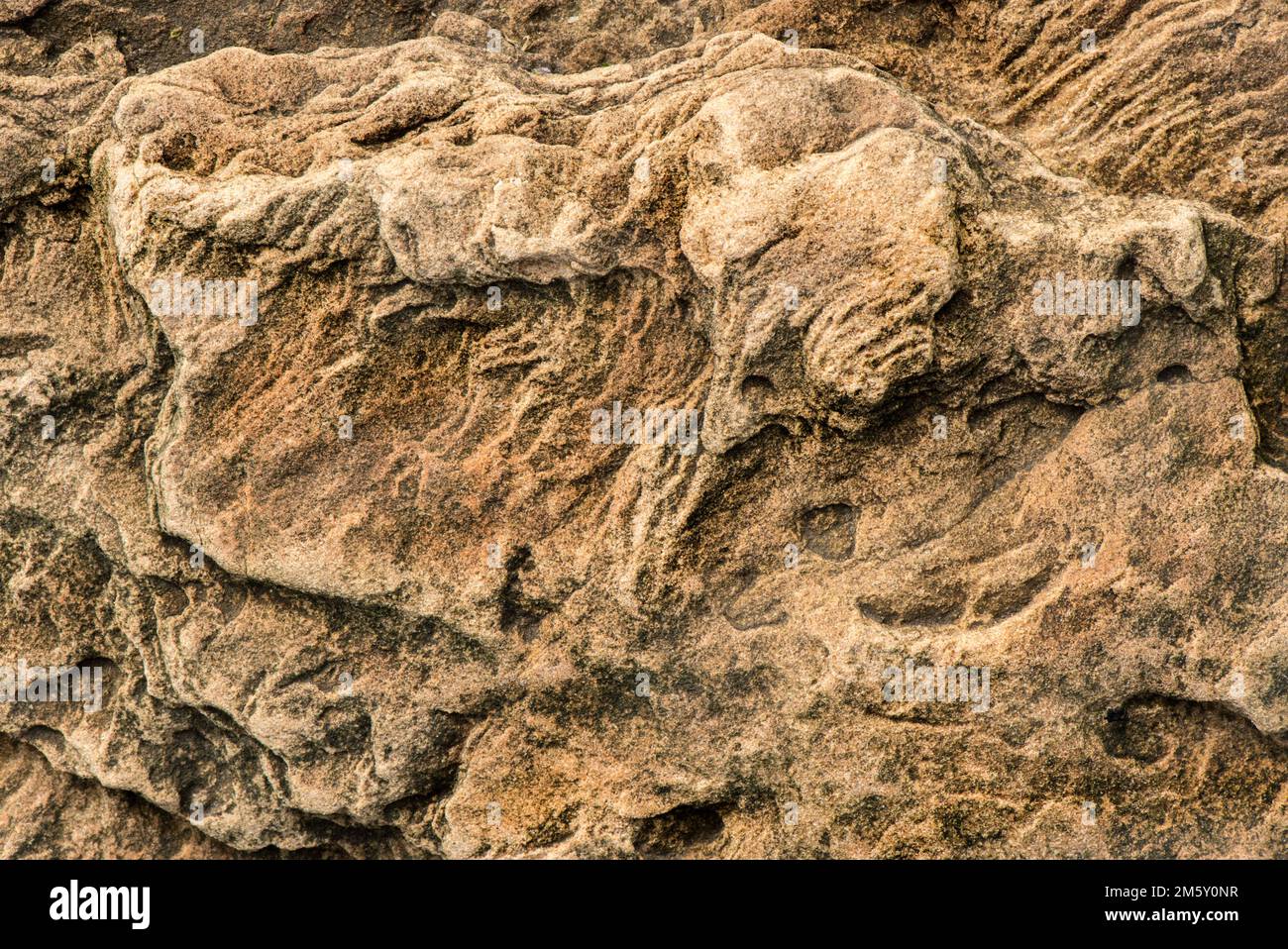 Weathered Sandstone rock close up Stock Photo - Alamy