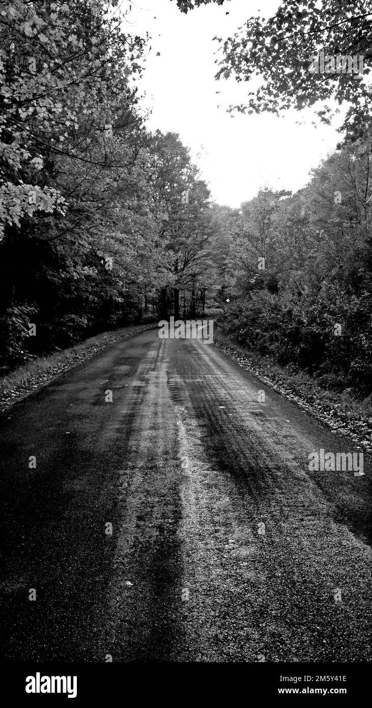 Countryside road Black and White Stock Photos & Images - Alamy