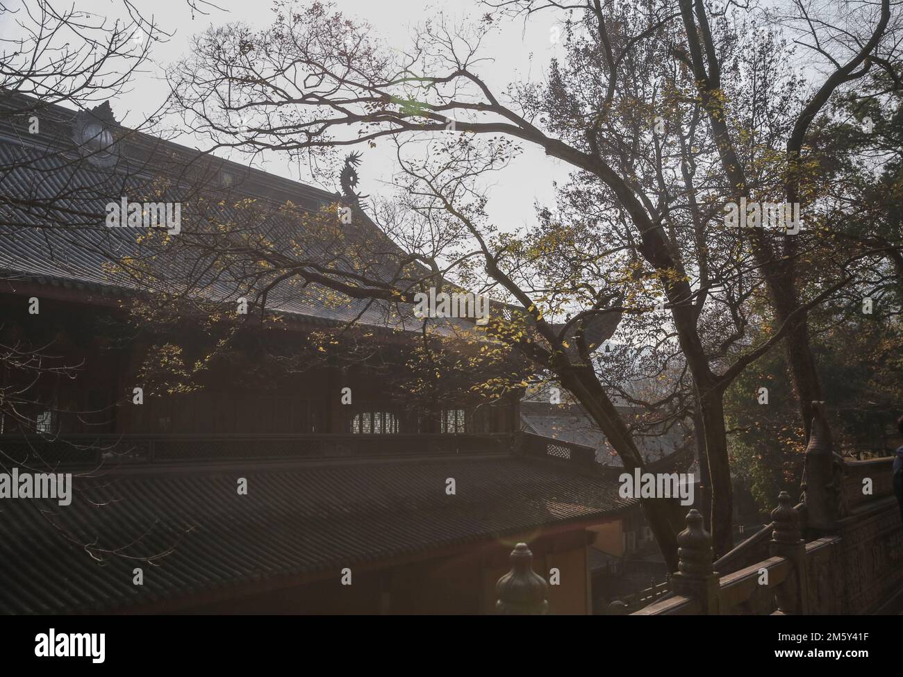 A scenic Chinese temple seen through branches of a leafless tree Stock ...