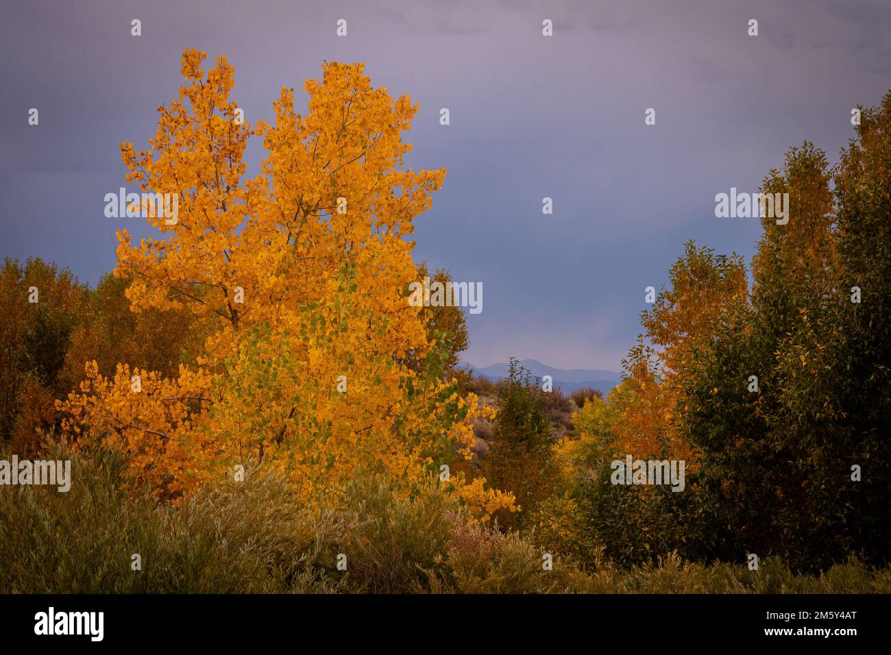 A capture of the transitioning seasons in the Colorado front range ...