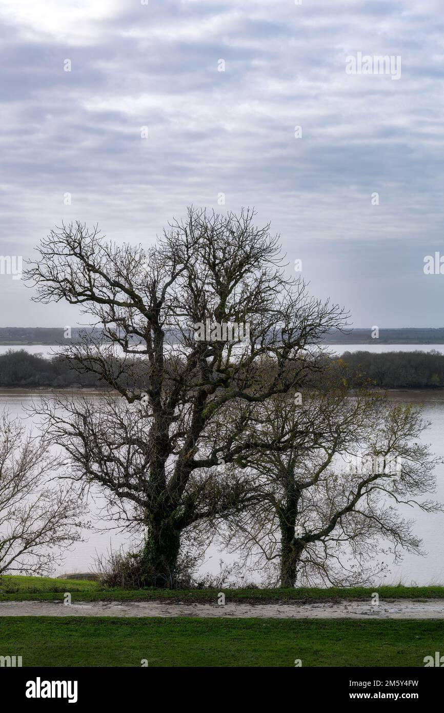 The Gironde estuary in autumn, view from the citadel of Blaye, Nouvelle ...