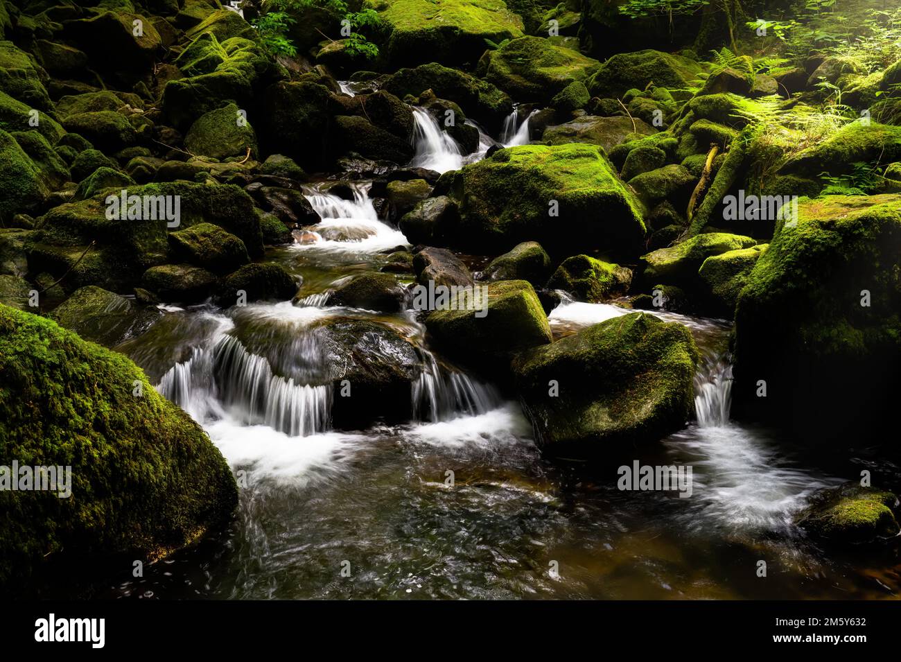 A scenic waterfall in a forest Stock Photo - Alamy