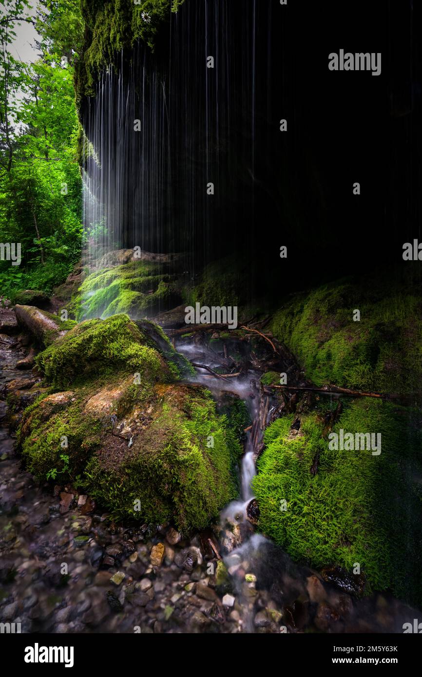 A scenic waterfall in a forest Stock Photo - Alamy