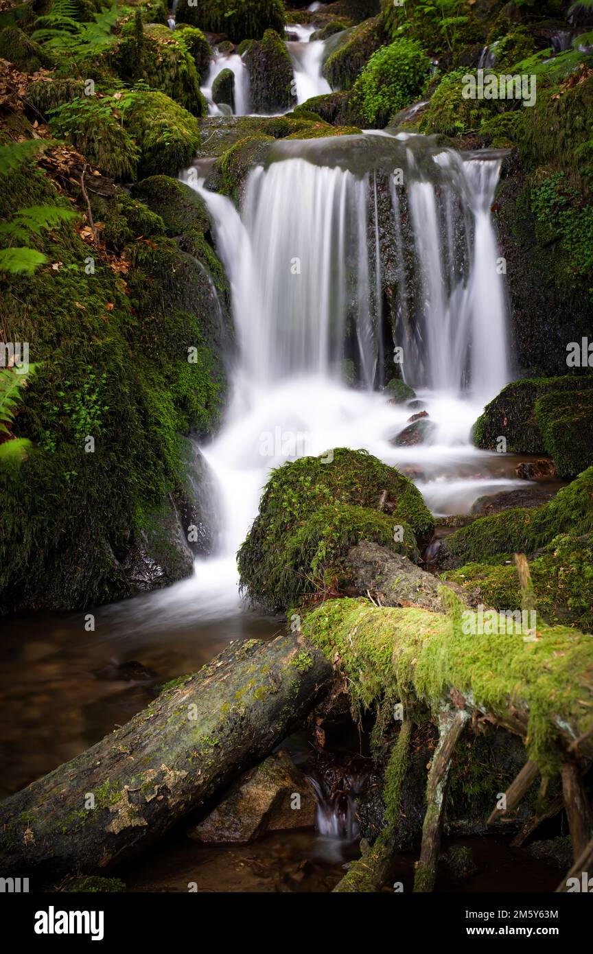 A scenic waterfall in a forest Stock Photo - Alamy
