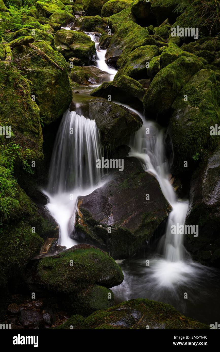 A scenic waterfall in a forest Stock Photo - Alamy