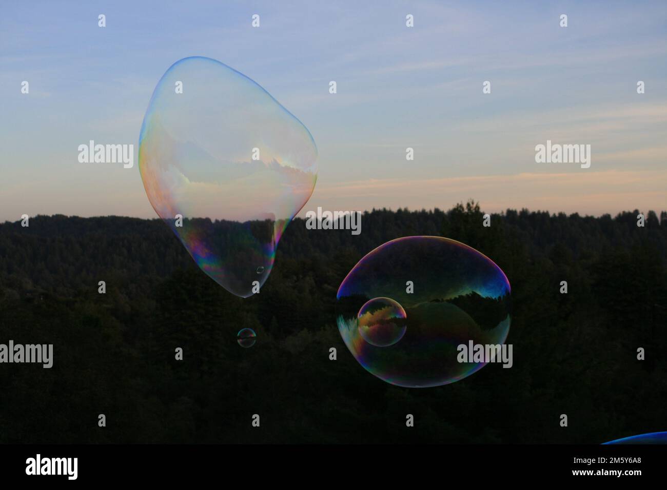 Large bubbles in santa cruz hi-res stock photography and images - Alamy