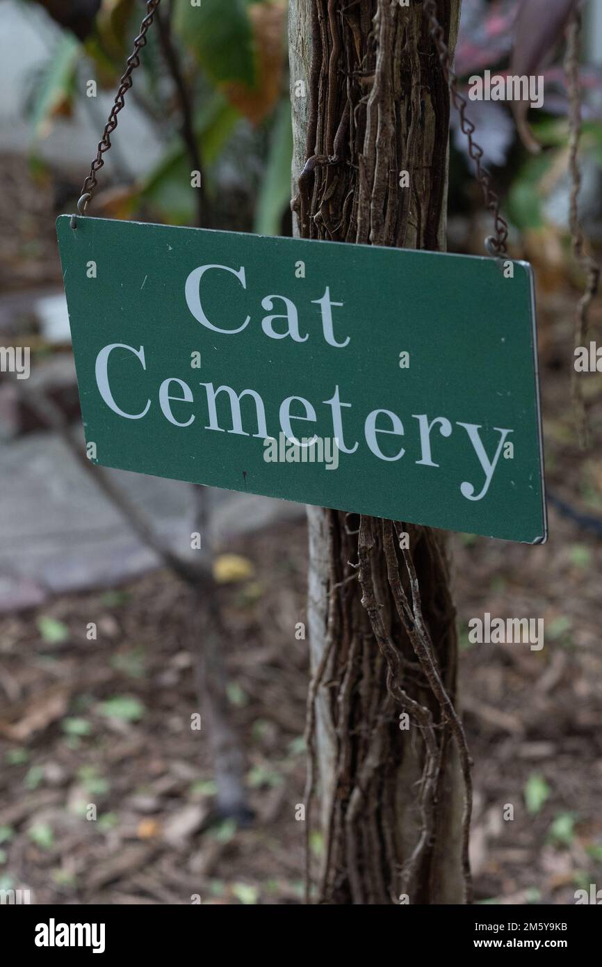 Cat cemetery hi-res stock photography and images - Alamy