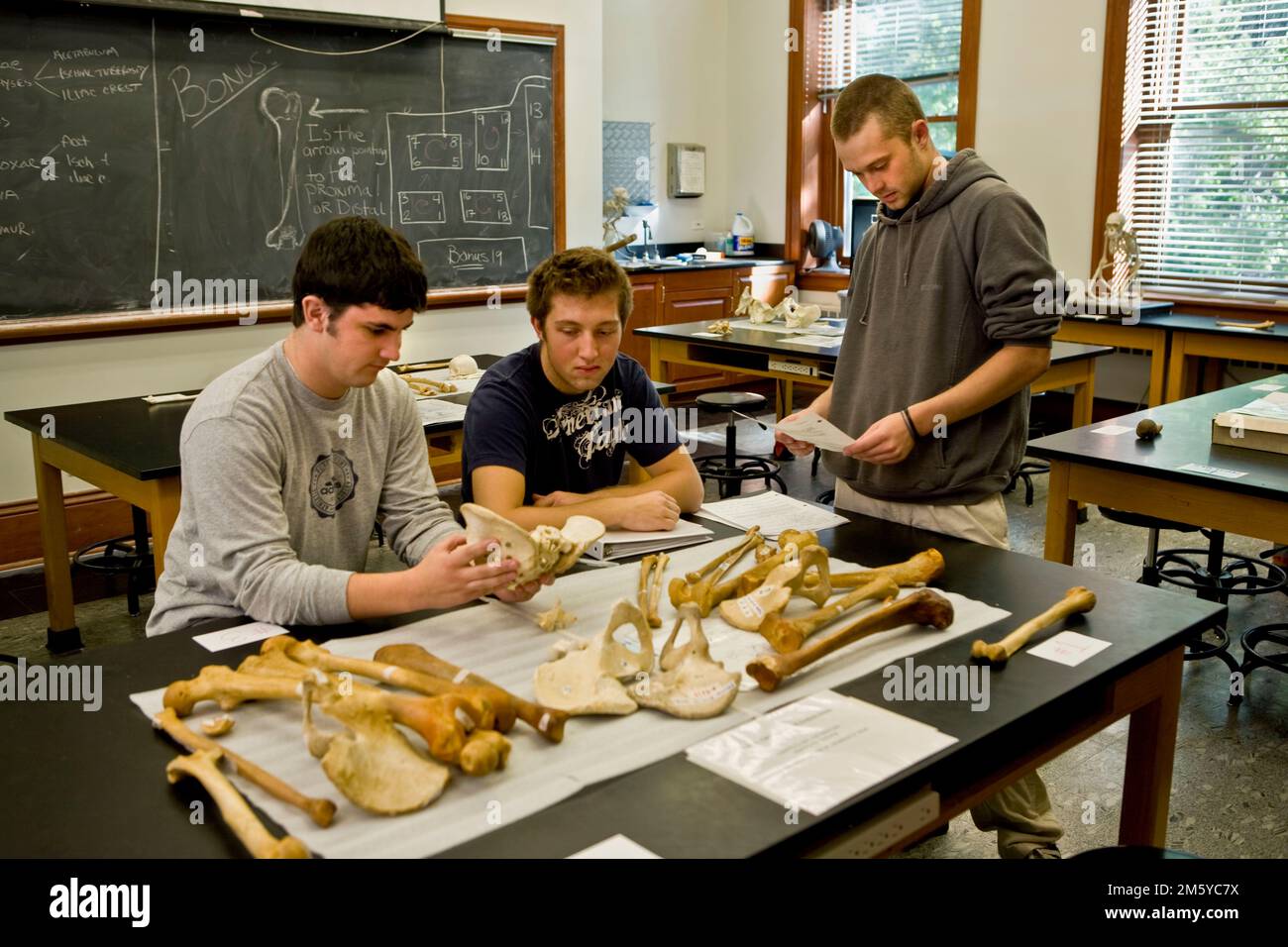 Students anthro lab U. of CO Boulder H Stock Photo - Alamy