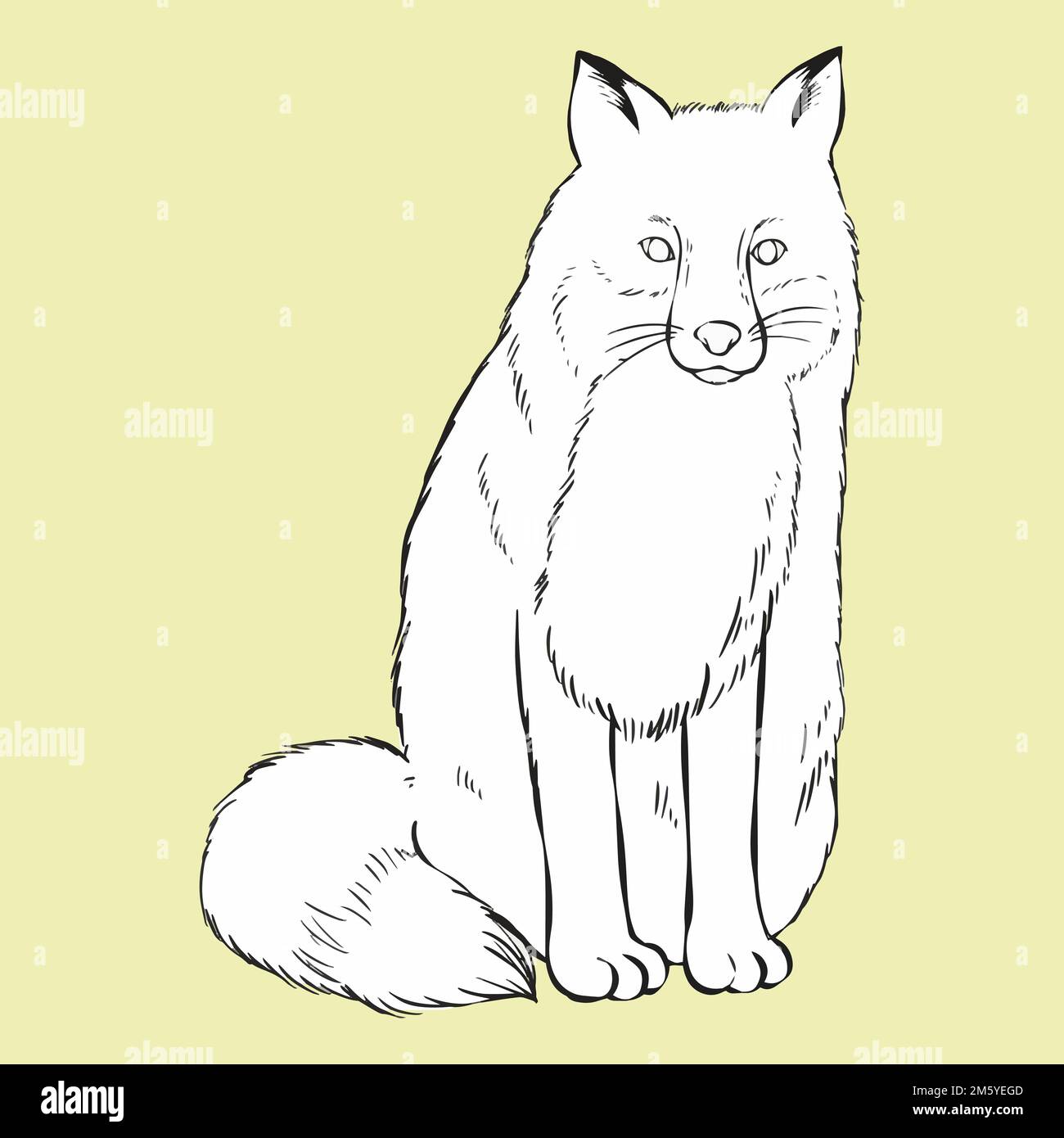 Arctic Animals Black And White Clipart