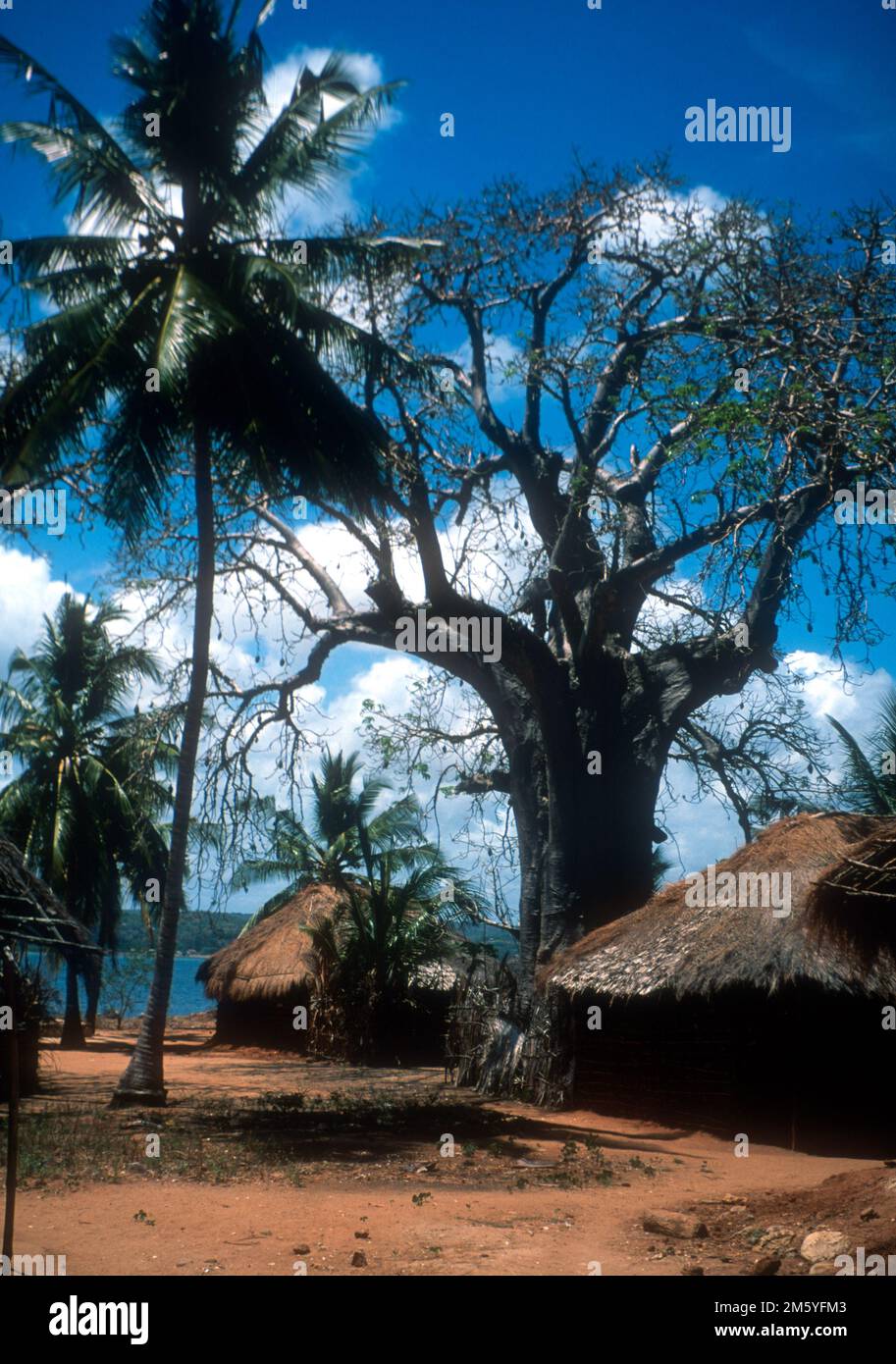 Pemba village, Mikindani-Mtwara Division, Tanzania Stock Photo - Alamy