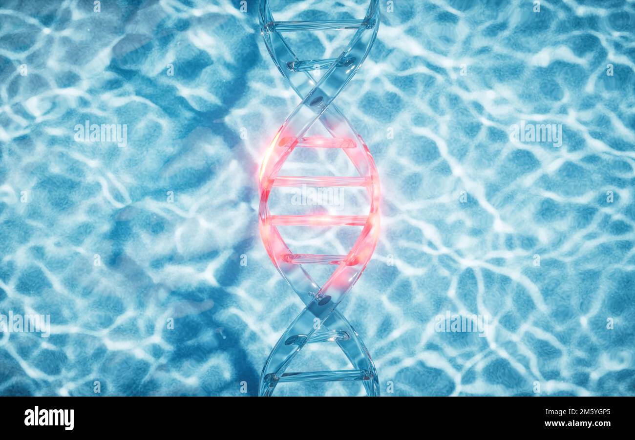 DNA with water surface background, 3d rendering. Digital drawing Stock ...