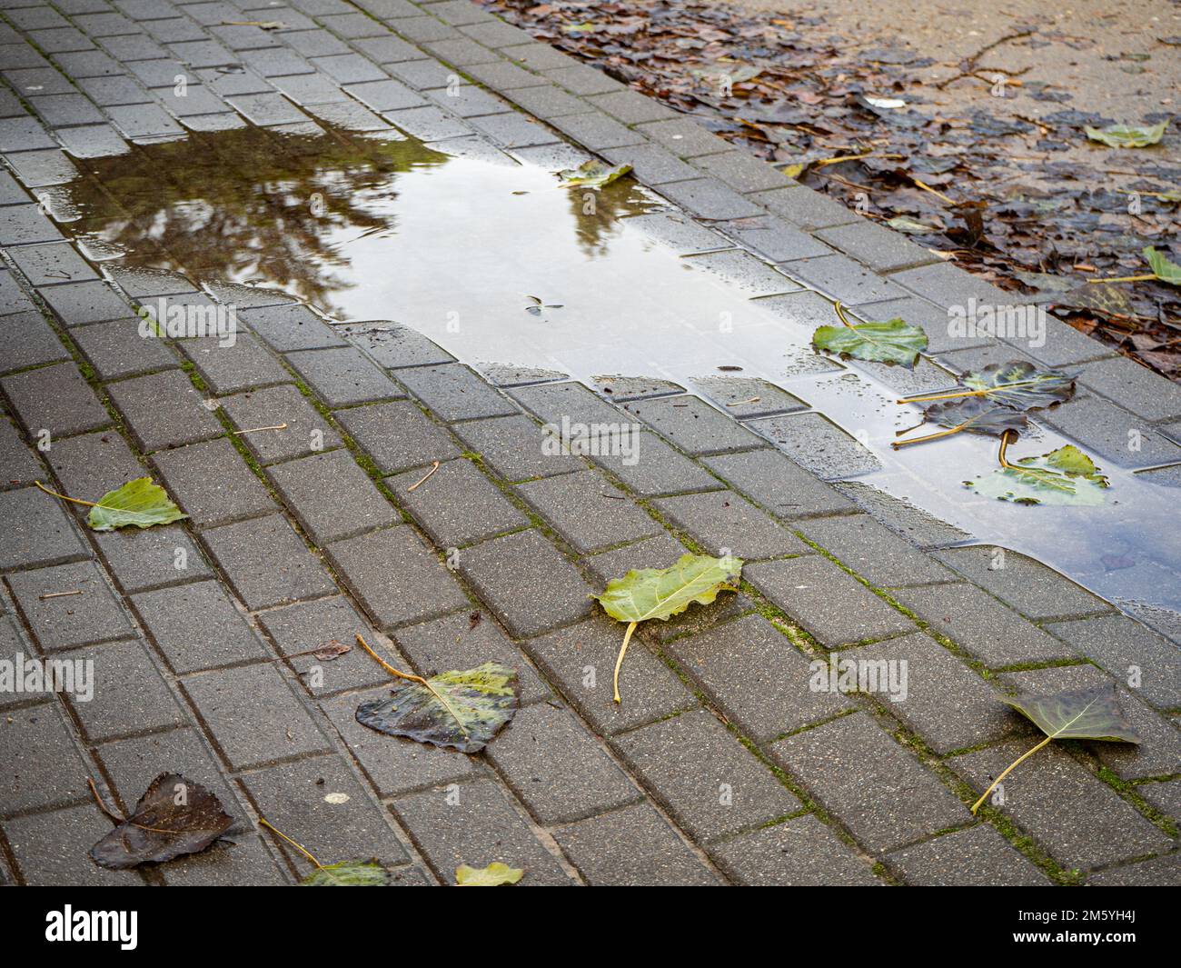 broken concrete pathway brick surface background, melancholy concept ...