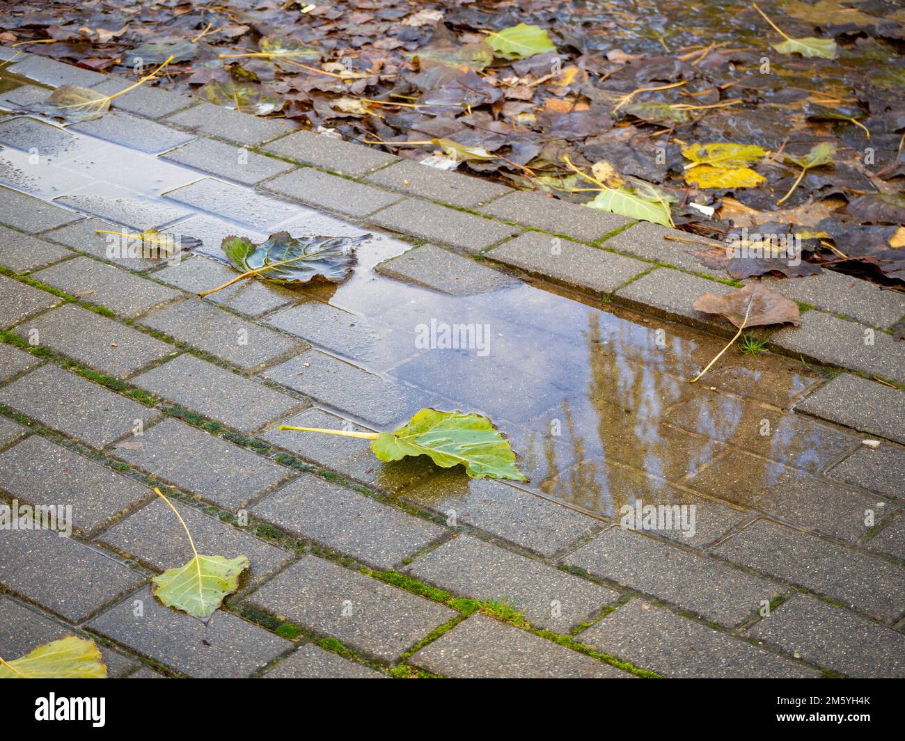 broken concrete pathway brick surface background, melancholy concept ...