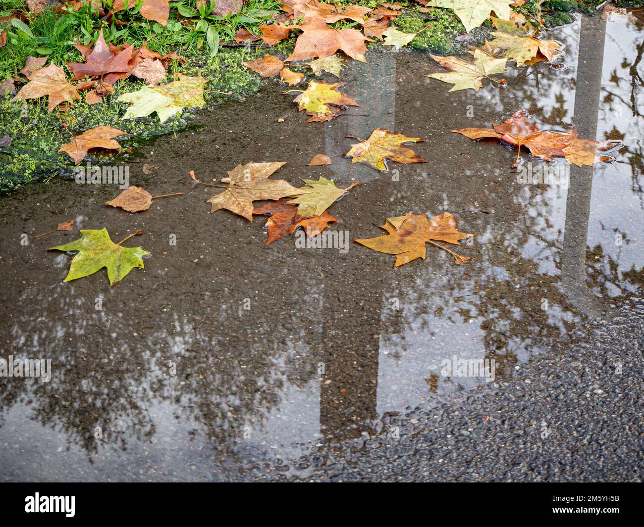 broken concrete pathway brick surface background, melancholy concept ...