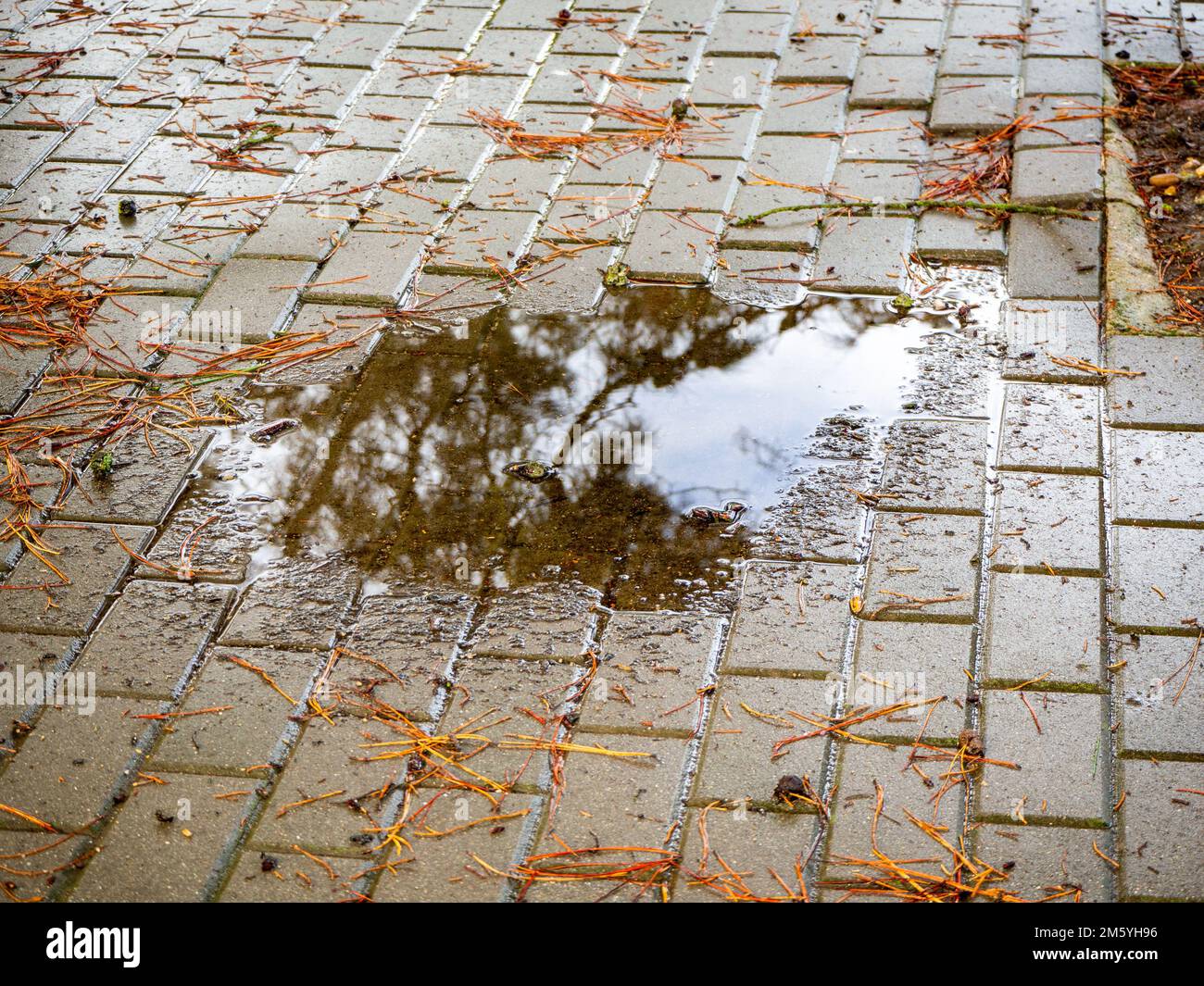 Potholes in a sidewalk used by people Stock Photo - Alamy