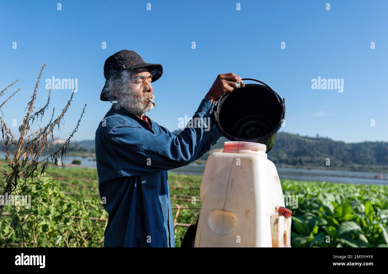 Farmer prepare spraying engine on back and spray pesticide mixed with ...