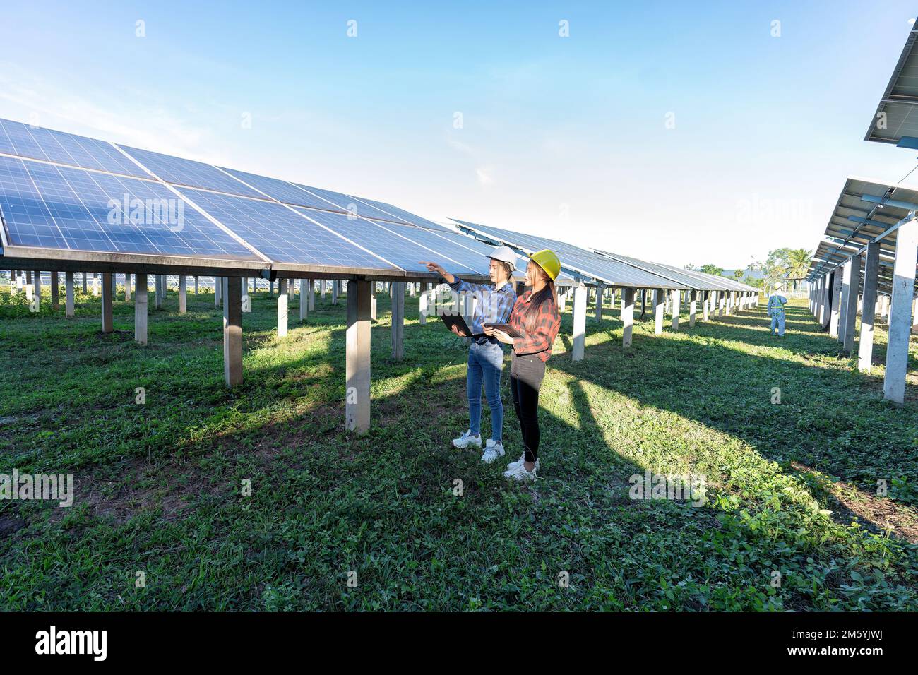 Solar farm greenery tree in the village provide clean energy routine ...
