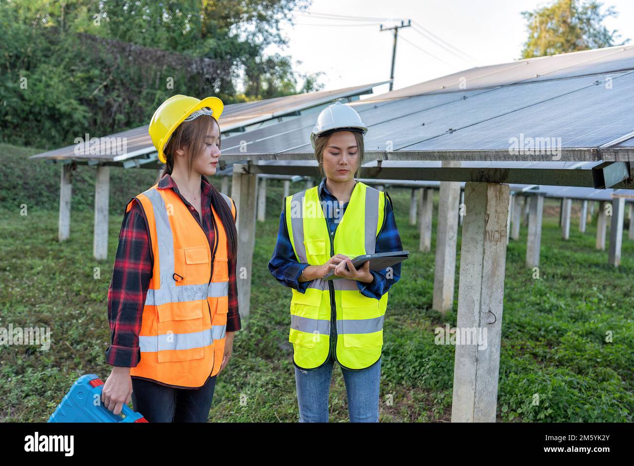 Solar farm greenery tree in the village provide clean energy routine ...