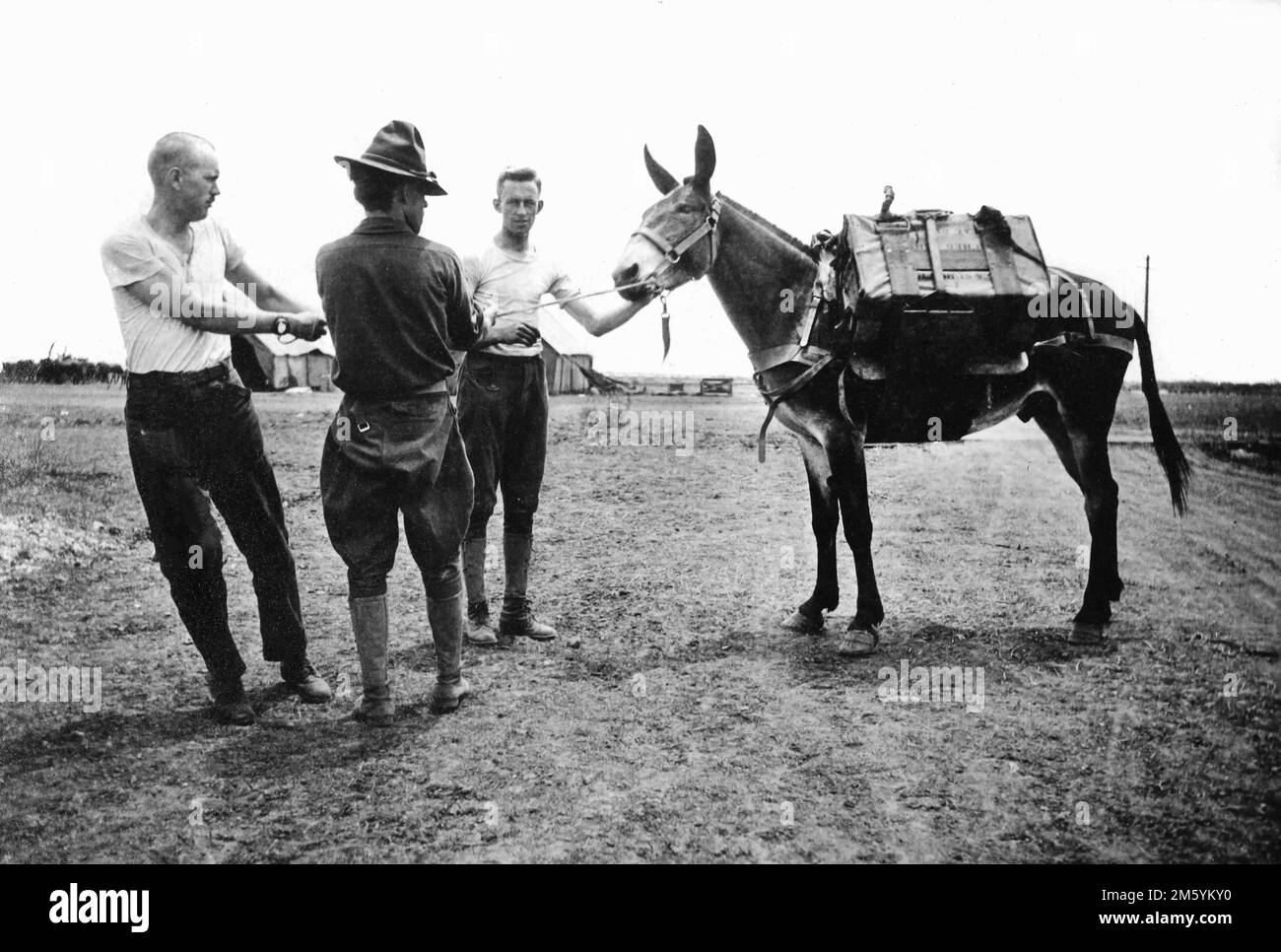 American soldiers world war hi-res stock photography and images - Alamy